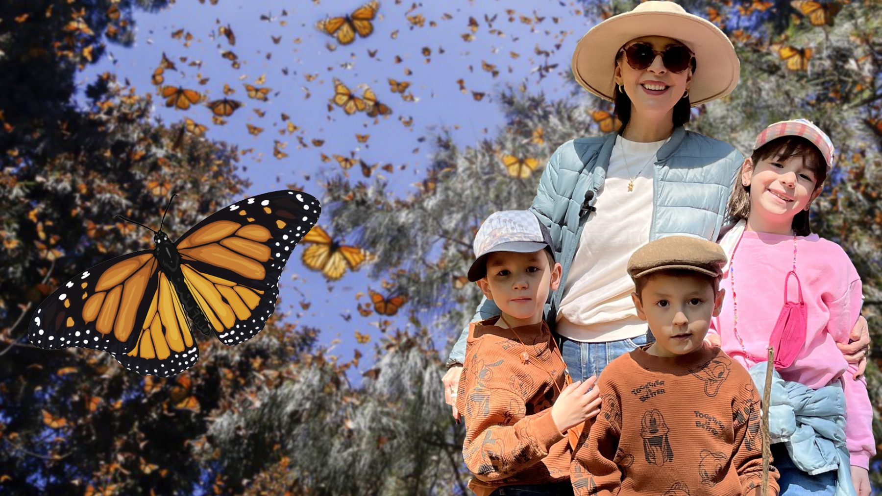 Santuario de la Mariposa Monarca - Mamá en la Torre